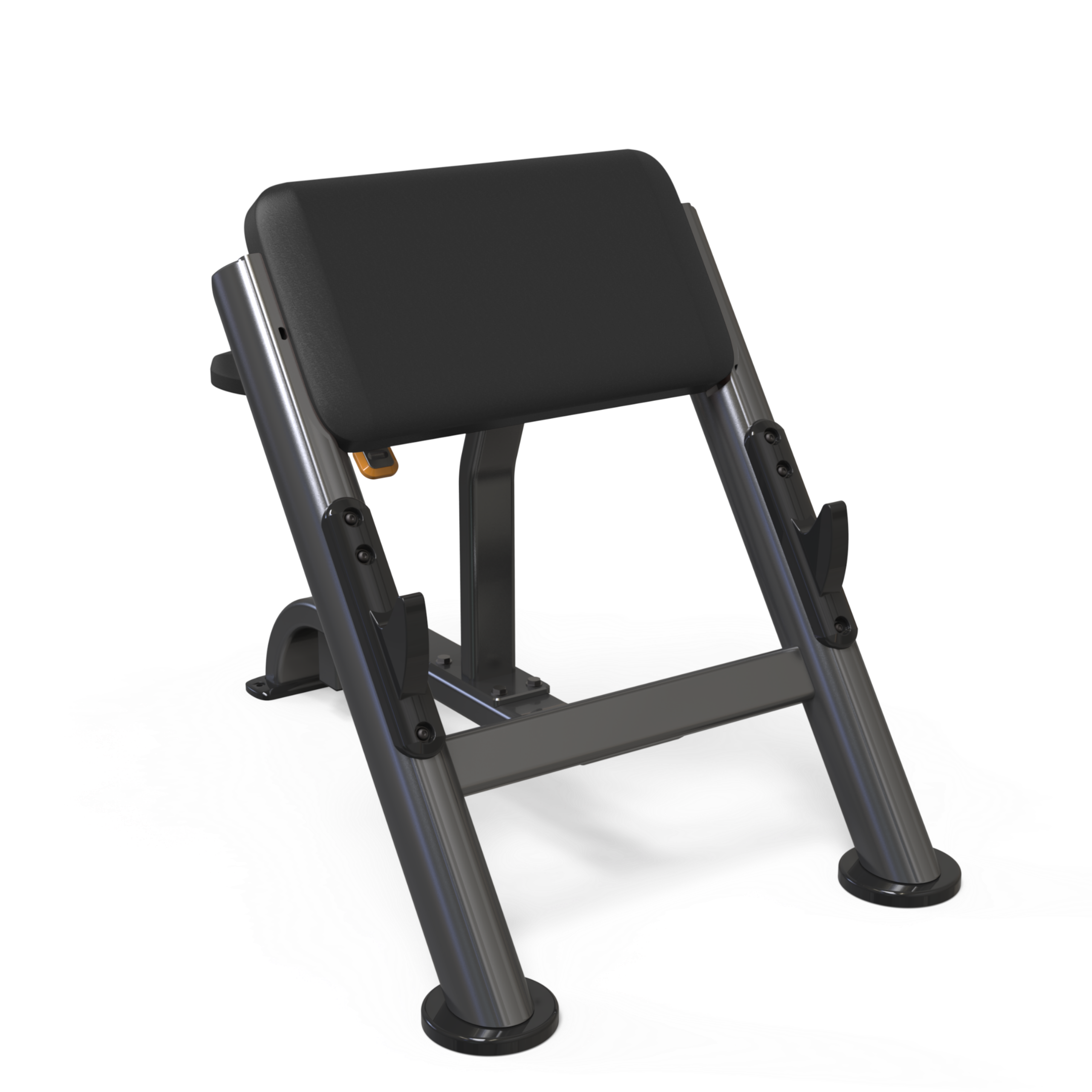 VERVE Preacher Curl Scott Bench - Makoto Series