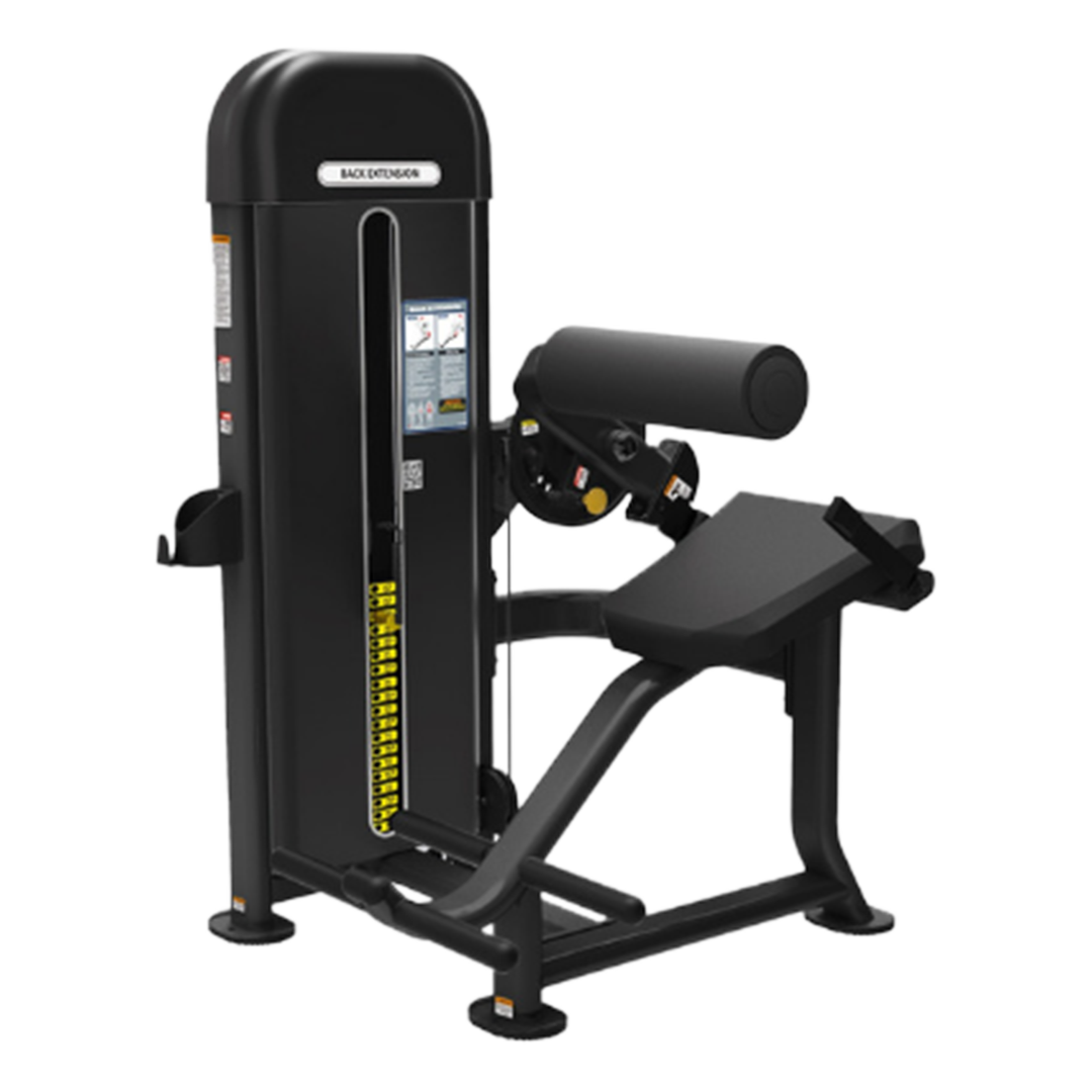 Back Extension Pin Loaded Machine